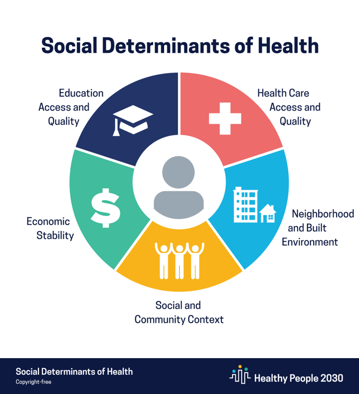 What are the 5 Main Domains of Social Determinants of Health?