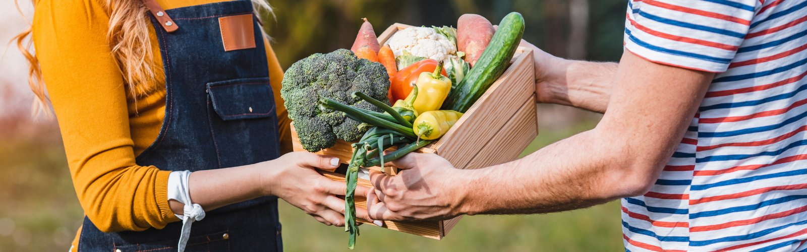 Community Health Workers at the Heart of Food Is Medicine in Rural America